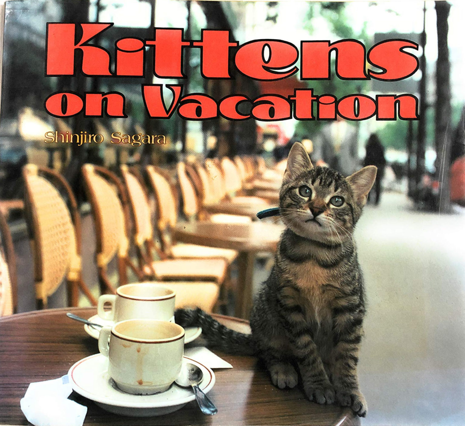 Whisker Fabulous - The best cat books to read and enjoy